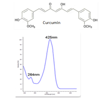 Turmeric (Curcuma longa) LC - CAMEO