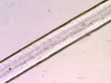 Vinyon fiber - CAMEO