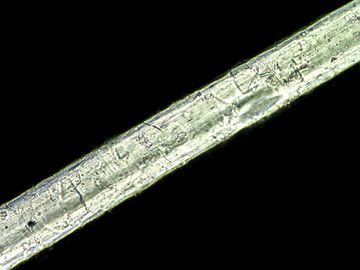 Vinyon fiber - CAMEO