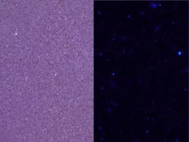 Cobalt violet, deep - CAMEO