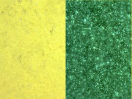 Cobalt yellow - CAMEO